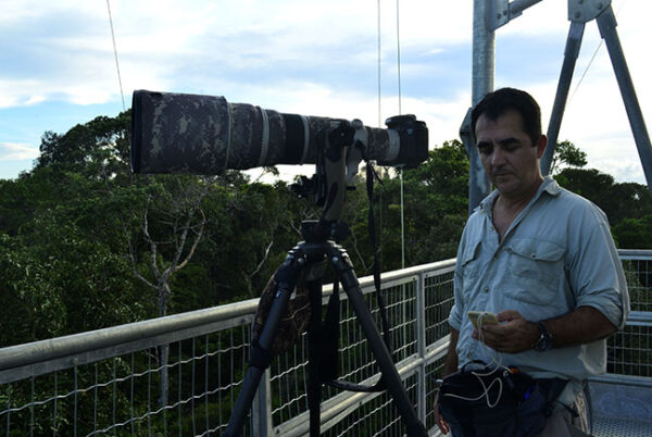 Torre de observação – MUSA – Museu da Amazônia
