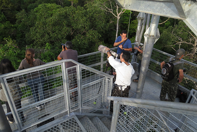 Torre de observação – MUSA – Museu da Amazônia