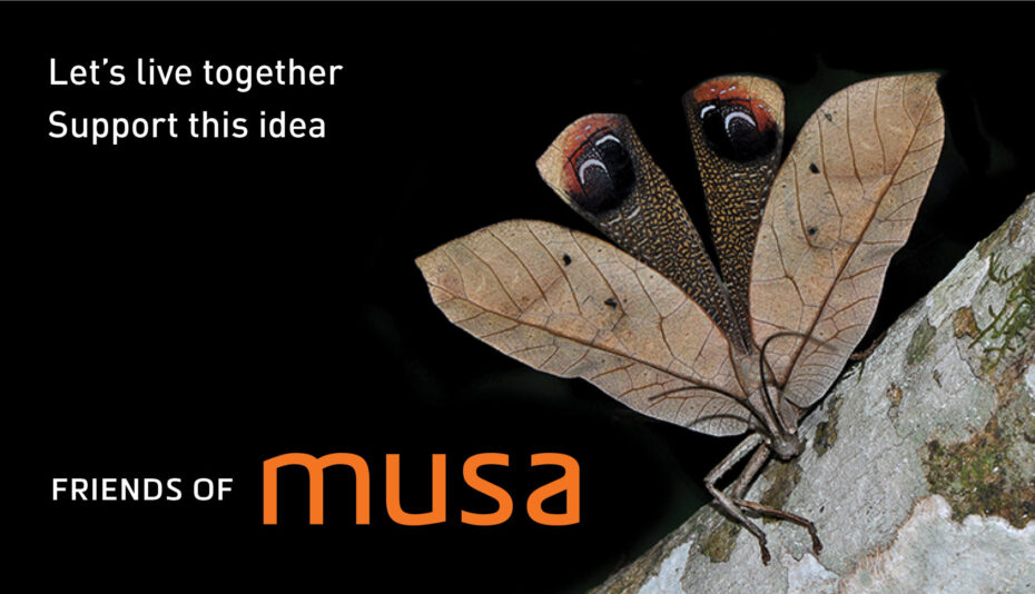 Collaborate – MUSA – Museu da Amazônia